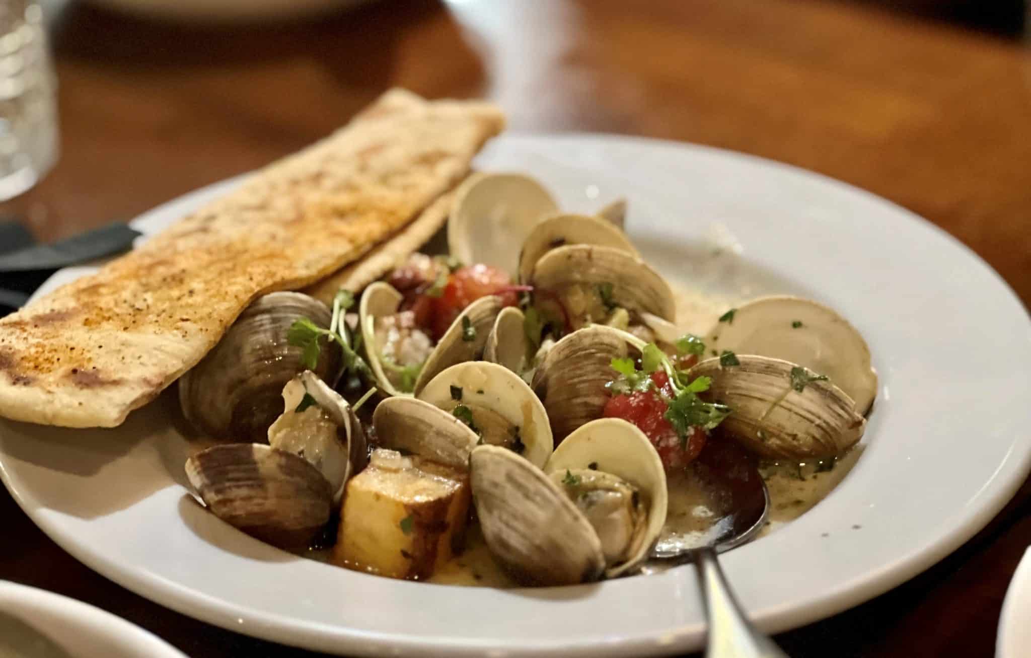 Welcome to Wellen | The Banyan House - Wellen Park