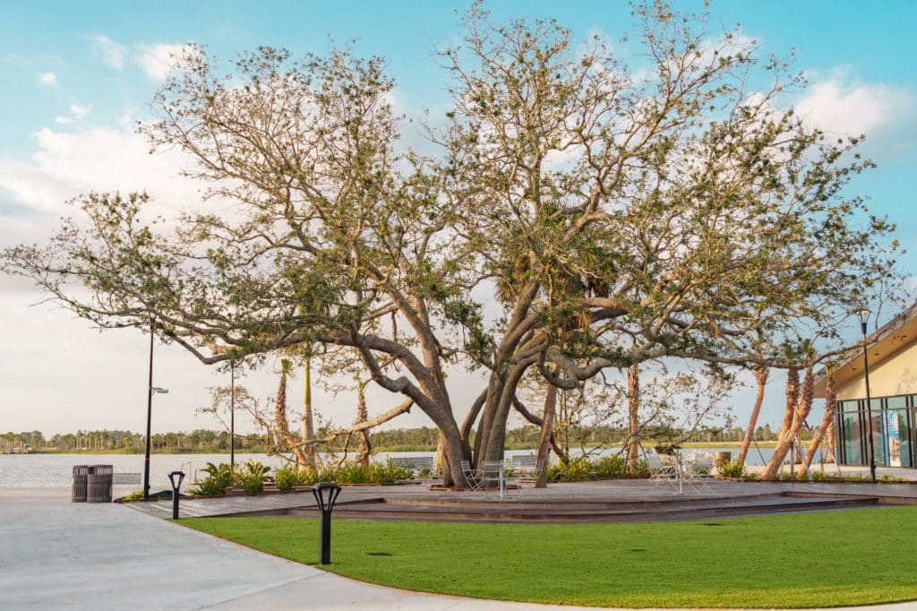 Wellen Park announces new nature trail, community garden and fishing ...